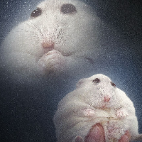 Christian Heim · GitLab